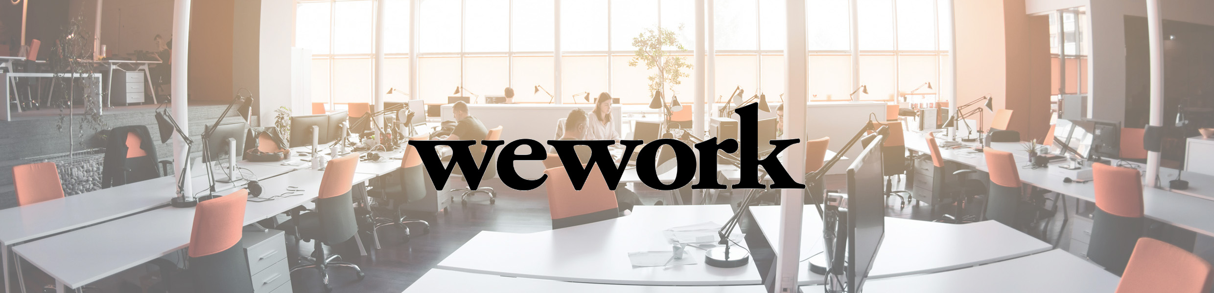 ¿Socio de WeWork? - Wizerp